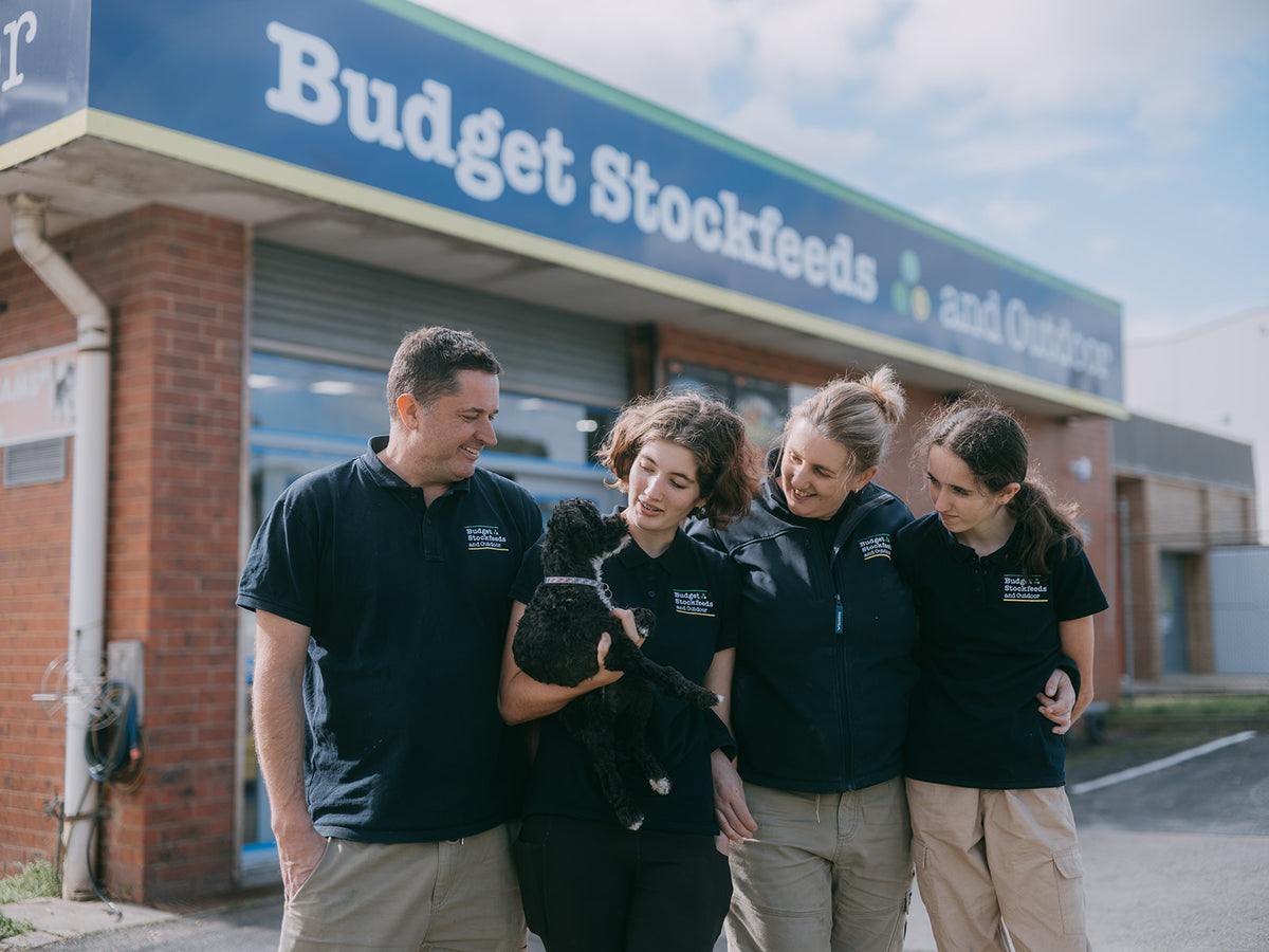Budget Stockfeeds and Outdoor – Budget Stockfeeds and Outdoor